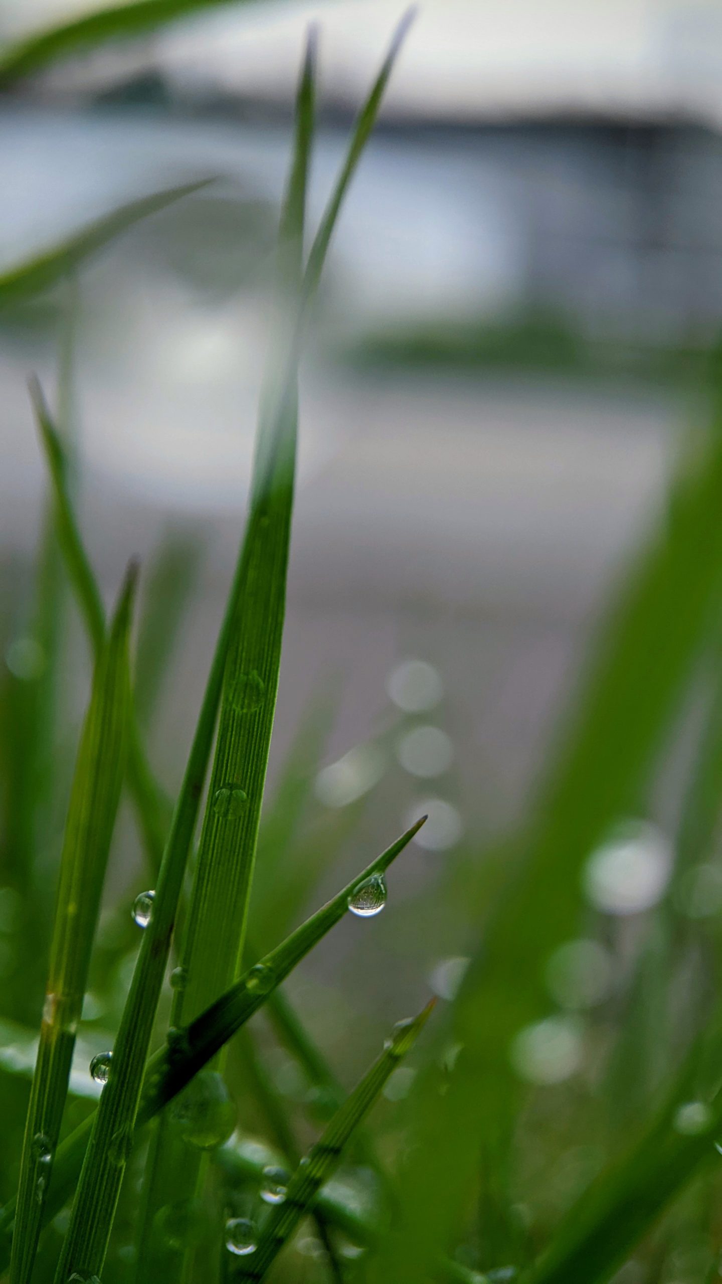 Product Carbon Footprint Verification (ISO 14067, PAS 2050) | BM ...