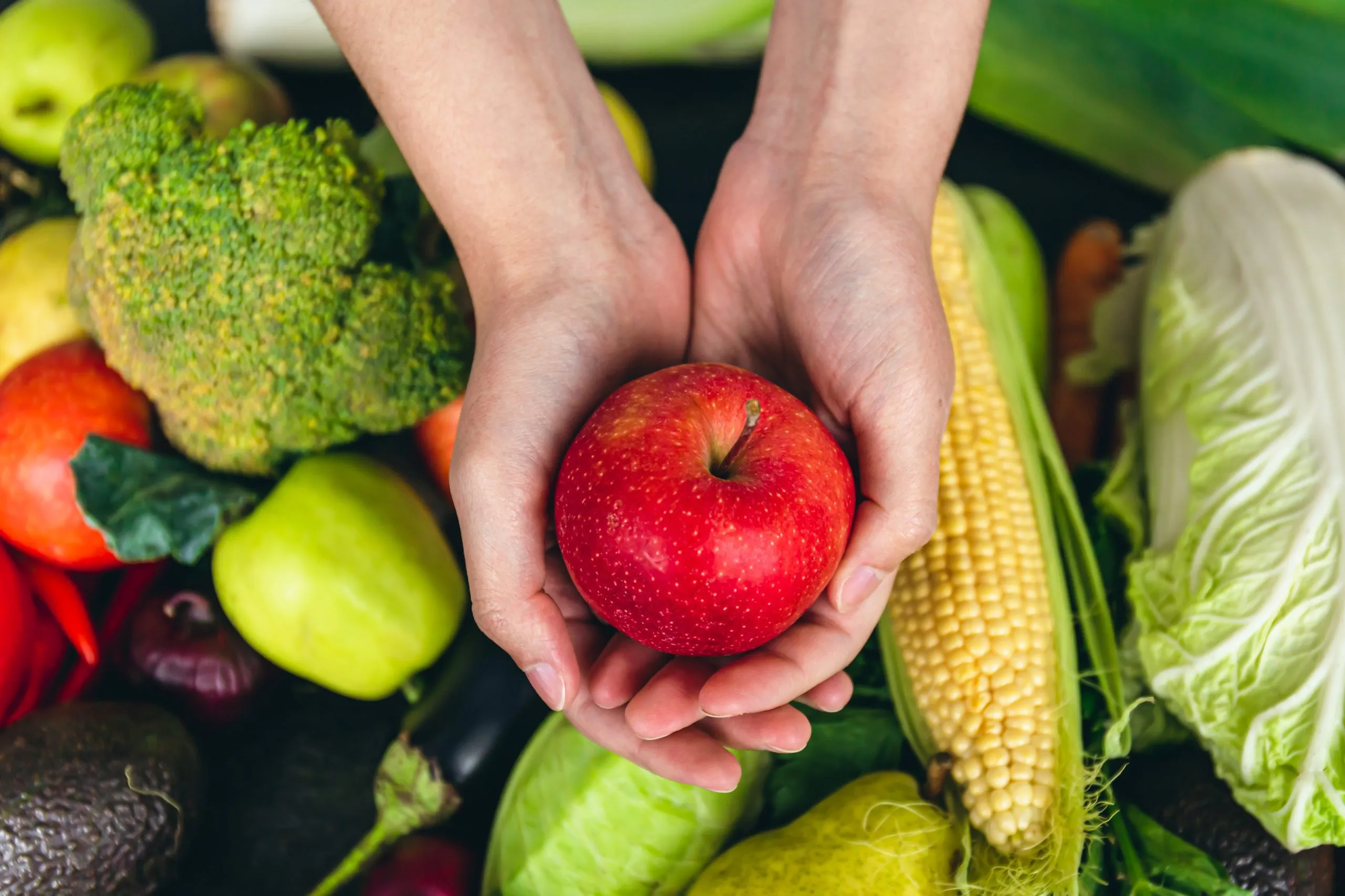 HACCP and GMP: Pillars of Food Safety and Quality | BM Certification