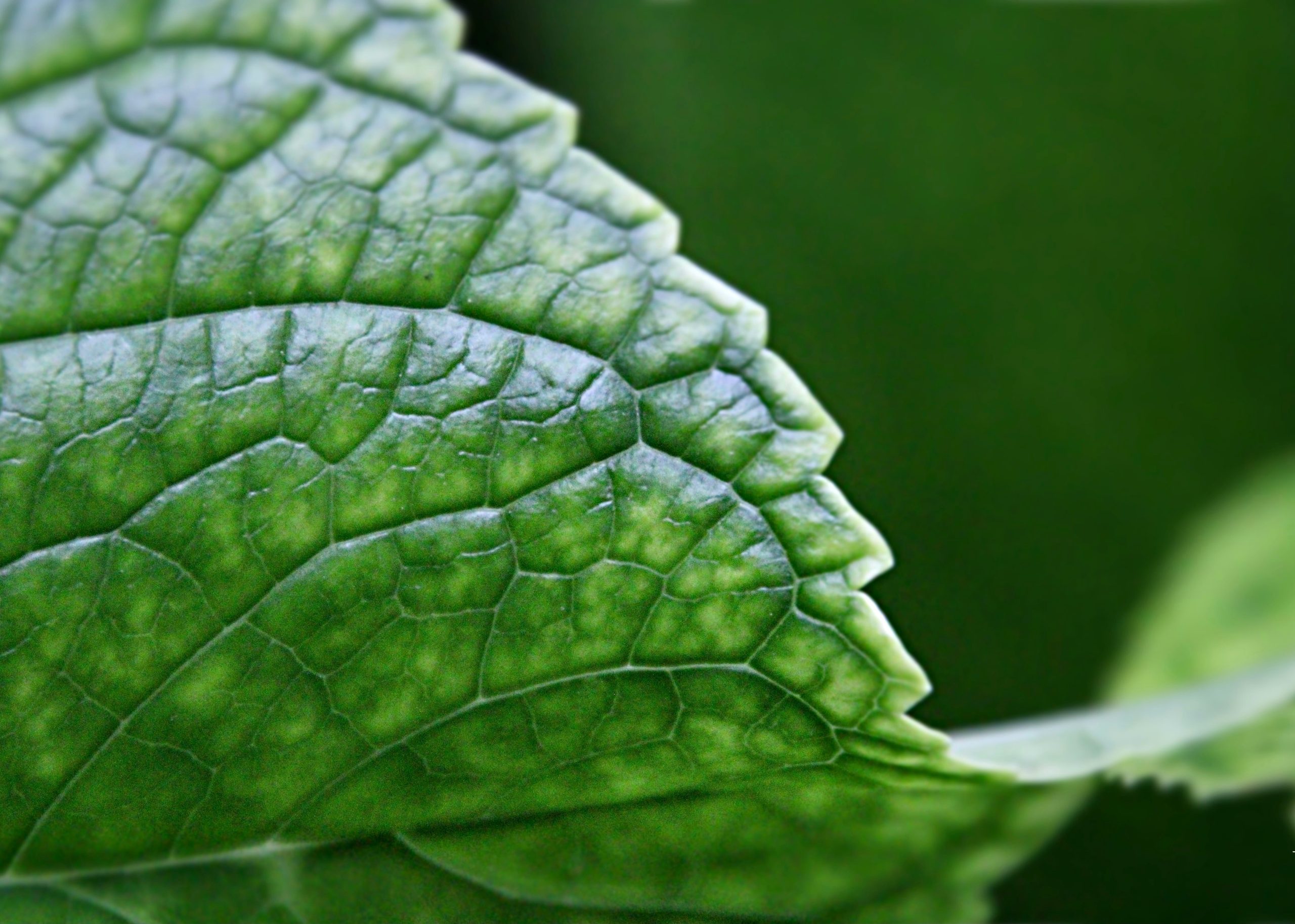 Driving Environmental Responsibility and Business Success with ISO ...