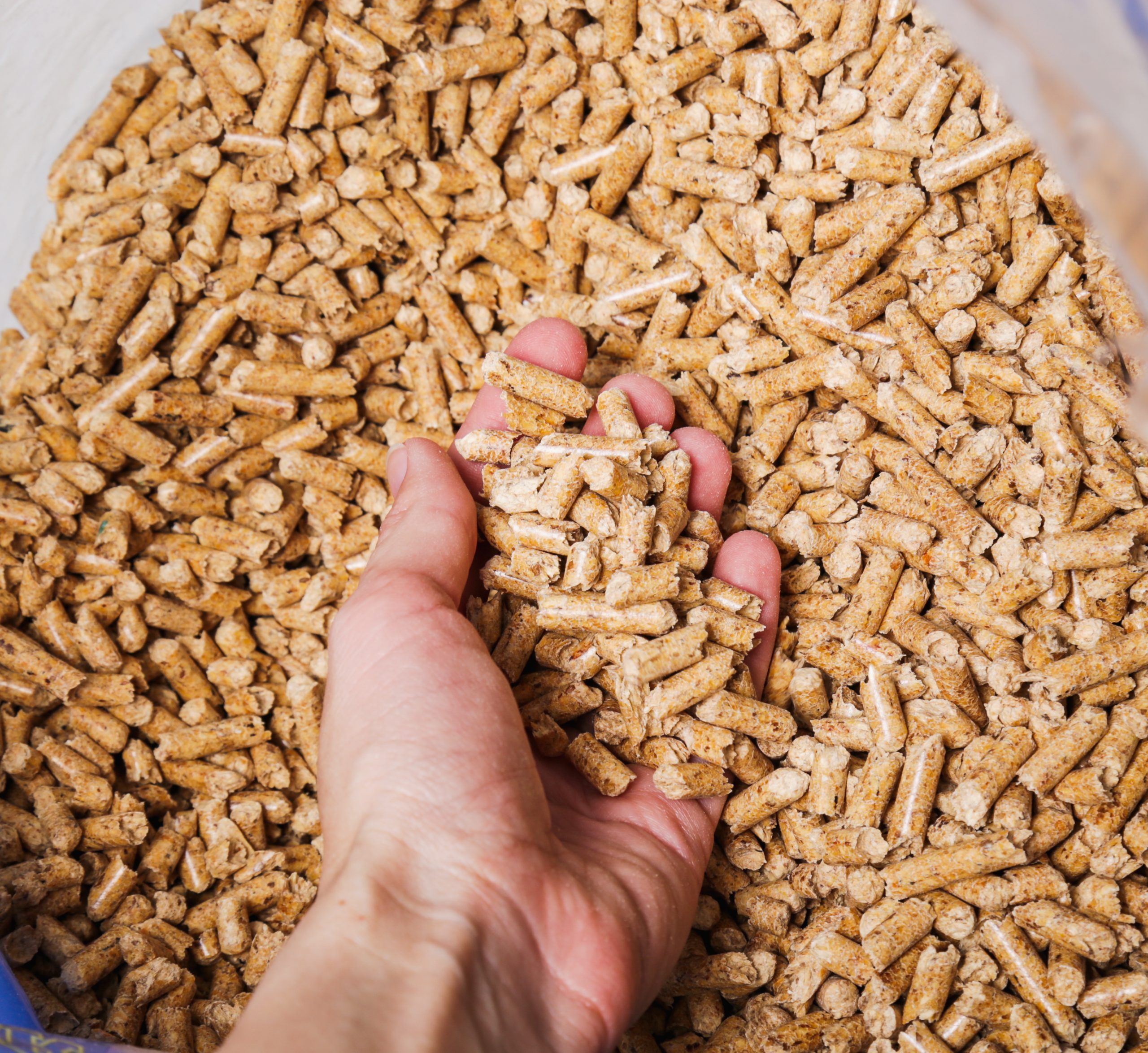 ENplus® Certification for Wood Pellets - BM Certification